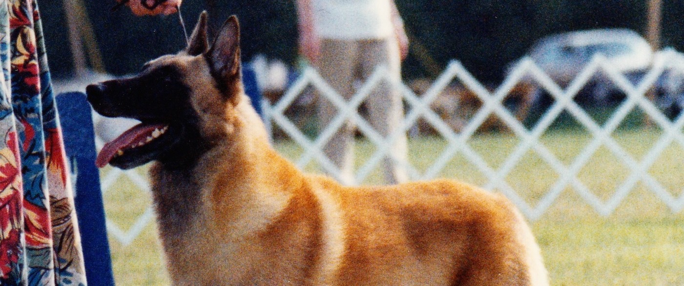 Beau-5 – Version 2slider – ABMC